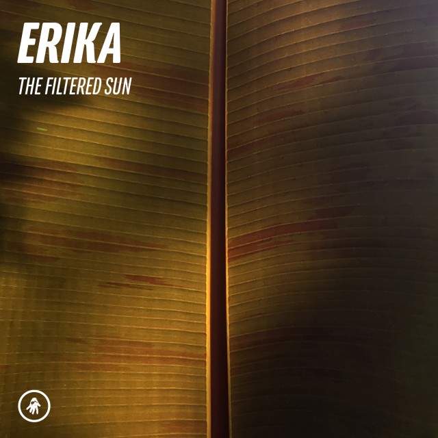 Erika - The Filtered Sun (Live) | Interdimensional Transmissions